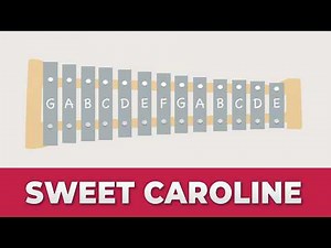 Sweet Caroline - Neil Diamond (EASY Xylo Tutorial)