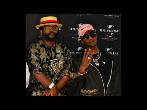 [FREE] Sjava x Emtee x Inkabi Records Type Beat "uGogo"