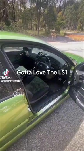 The sound off an LS1 is just stunning.