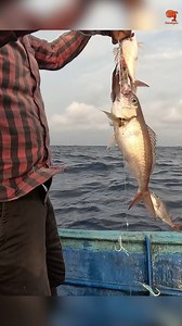 160K views · 1.4K reactions | Deep Sea Fishing for Rosy Snapper #fishing #fishingvideos #fishingtime | Neerulagam | Facebook