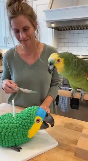 #story #movie #motivation #fallfoliage #WorldSeries #funny #shorts The Parrot Who Protected His Cake 🎂🦜.mp4 | Crazy Situation