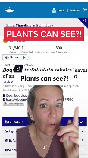 Can Plants See? Understanding the Fascinating Concept of Plant Vision