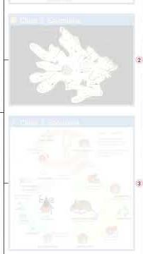 classification of Phylum Protozoa flow chart #classification #protozoa