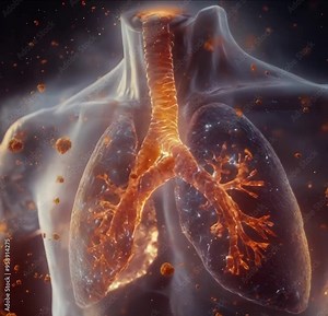 Respiratory system, secondary tuberculosis infection, A hologram of the human respiratory system displays the lungs and their functions including the exchange of oxygen and carbon dioxide.