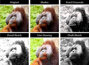 How to turn a photo into a sketch in PowerPoint (step-by-step)