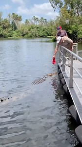 2.3M views · 10K reactions | I got your hat Mr. MONSTER CROC This...