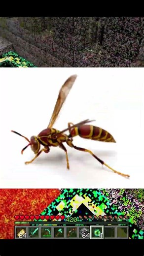 Deep fried Minecraft #minecraft #minecraftsurvivalseries100days #deepfried #games #minecraftbuilding