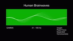 Gamma Human Brain Waves Diagramm. 4K-Animation.