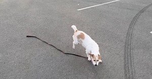 Video by Mahendra Prabhu on Pexels