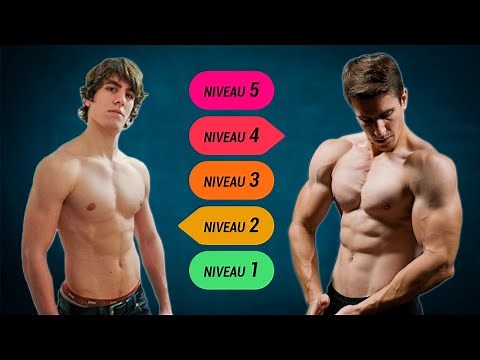 De Débutant à Élite en Muscu (Guide Naturel Complet)