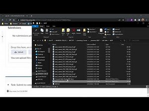 Brightspace: Submitting Multiple Assignment Files