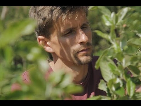 Affric Highlands | Trees for Life