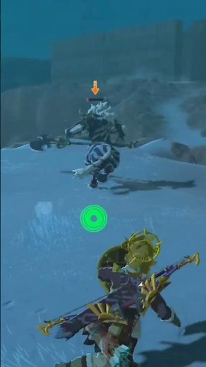 The BEST way to defeat a Lynel in Zelda BOTW! #gaming #gamingvideos #zelda #zeldabotw #gameplay