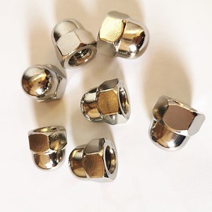 [Hot Item] Stainless Steel Hex Domed Cap Nuts