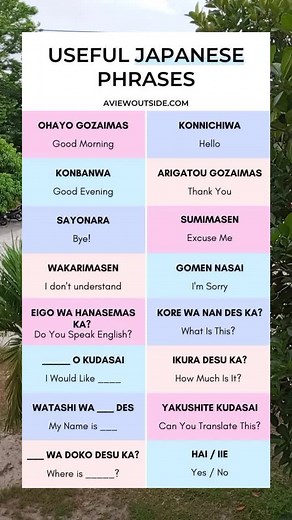 Learn Basic Japanese Phrases | Japan Language Explained