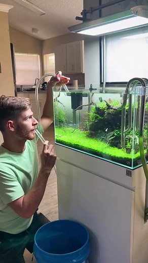 1.7M views · 1.3K reactions | Stop using your mouth to start the siphon. Insert the tube below the water, go up then back down quickly | Fish Tank | Facebook