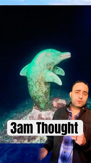 What If Dolphins Are Smarter Than Humans?