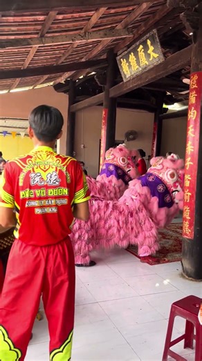 Nghi thức cúng Đình với tiết mục múa lân #caibe #2LND #lehoilangcodonghoahiep