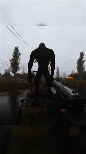 S.T.A.L.K.E.R Anomaly Custom #gameplay #stalker #stalkeranomaly #stalker2 #gamma