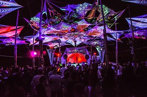 219K views · 1.4K reactions | It's been a long wait. It took lots of...