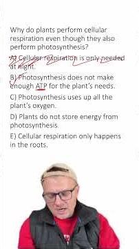 Multiple Choice Question: Cellular Respiration