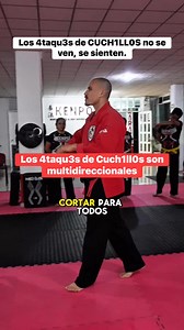 La Defensa Personal VS Cuch1ll0s #defensapersonal #selfdefense #seguridad #artesmarciales #martialarts #recomendaciones #tips #consejos #karate #entrenamiento #training | Kenpo Training System's