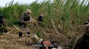 Picture Bride (Kayo Hatta, 1994)