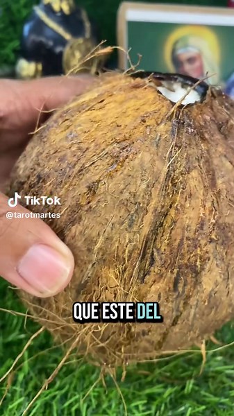 Explore the World of Magic and Fortune Telling