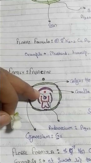 practical botany (Real examples)