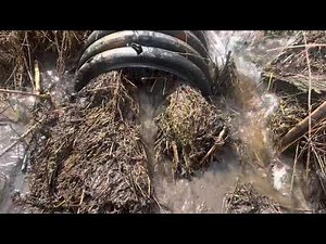 Breaking the beaver dam. then major flooding