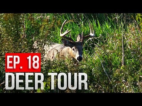 The BUCK NEST is BACK! - Bowhunting Public Land Whitetails: DEER TOUR E18