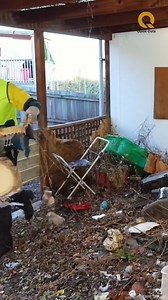 Taking This Yard From DISASTER to DREAMY #Landscaping #ExtremeLandscaping #YardMakeover | Quick Cuts