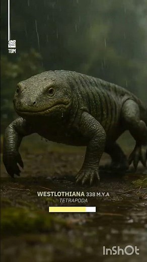 evolution of human animation