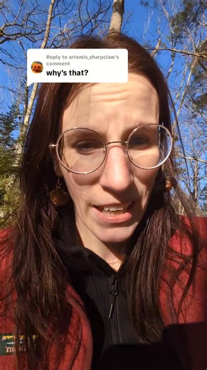 Don't bother wasting money on Tums. If you want help healing your gut issues, my Gut Healing Protocol works! #acidreflux #guthealth | Amelia South, the No-BS Herbalist