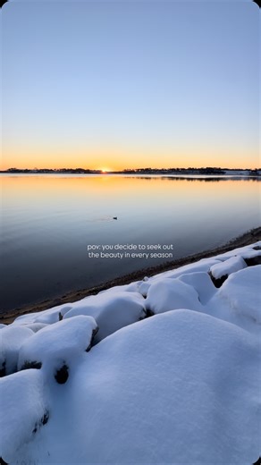 The Guidebook of Cape Cod - Travel Guide | Cape Cod makes it easy 🥹 | Instagram