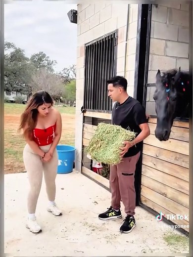 #wilsonpatepluma #viral #lamigra #migracion