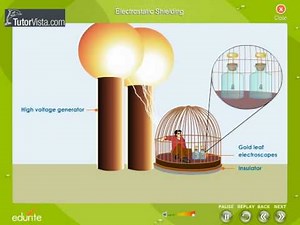 Electrostatic Shielding Video Lecture | Physics for JEE Main and Advanced