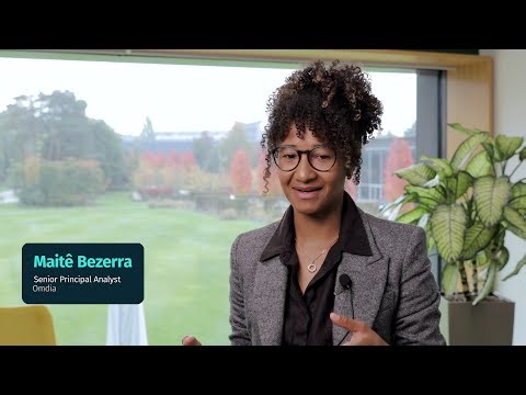 SDV Maturity Framework: development phases