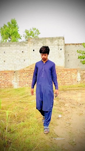 Pashto Song by Tuti Gull Vine - New Trending Video