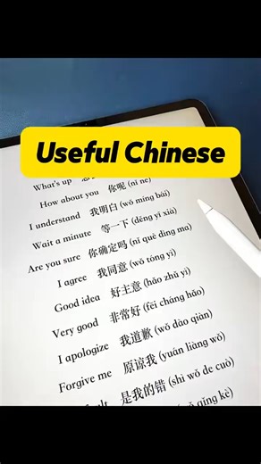 Learn Chinese with Syndra on Instagram: "Useful Chinese Common Chinese Phase #chinese #中国 #vocabulary #cina #중국어 #studychinese #zhongwen #hanzi #trunguoc #hanyupinyin #老外"