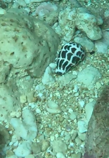 hishellguy on TikTok