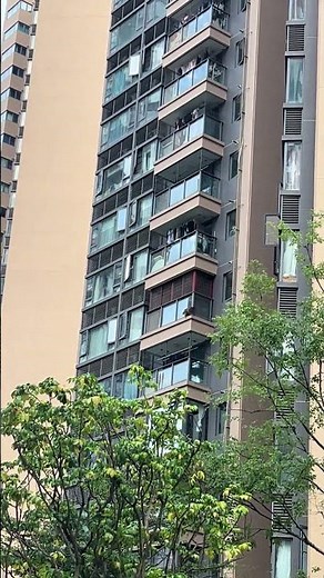 Monkey climbs pipes and moves between units in high-rise, Guangxi, China