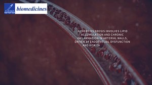 48K views · 50 reactions | All articles in Biomedicines (ISSN...