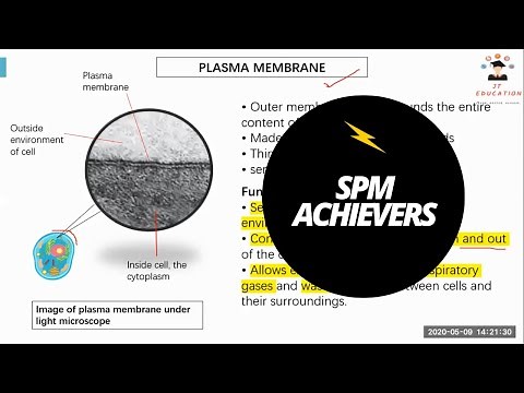 Form 4 Biology KSSM Chap 2: Cell Biology & Organisation [Part 2]