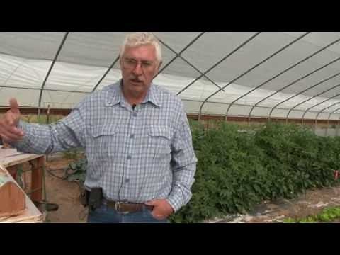 High Tunnel Six Years Later