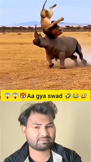 Wait For End 260🤣 ai bawal h bhai 😭 v#shorts #ytshorts #funny #ai