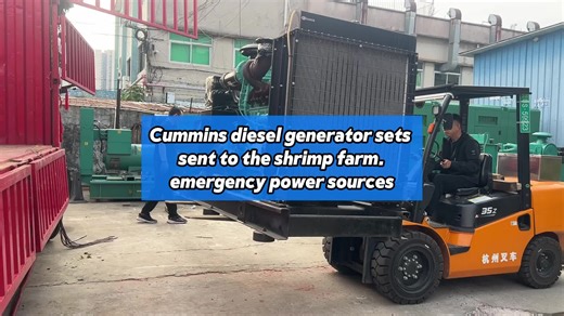 Three Cummins diesel generator sets have been loaded onto the truck and are being sent to the shrimp farm. These are essential emergency power sources for aquaculture. With them, you won't be worried about emergency power generation. They start quickly and run stably. Even if there's a power outage, the oxygen supply won't stop, and the loss of fish and shrimp will be minimal!#FarmingYard #Aquaculture #ChickenFarm #SecondhandGeneratorSet #DieselGeneratorSet