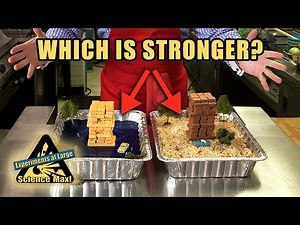 Which Food Is Stronger? | Earthquakes | Cooking with Science | Science Max