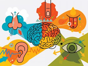 Multi-Sensory Branding Experience | DesignMantic: The Design Shop