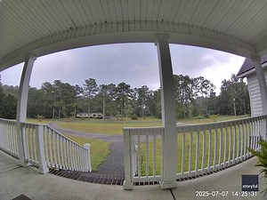 Dramatic Moment Lightning Strikes Tree Captured in Doorcam Video